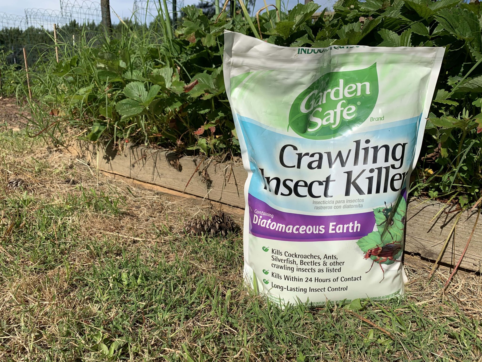 7 Organic Pesticides and their Uses | The Beginner's Garden