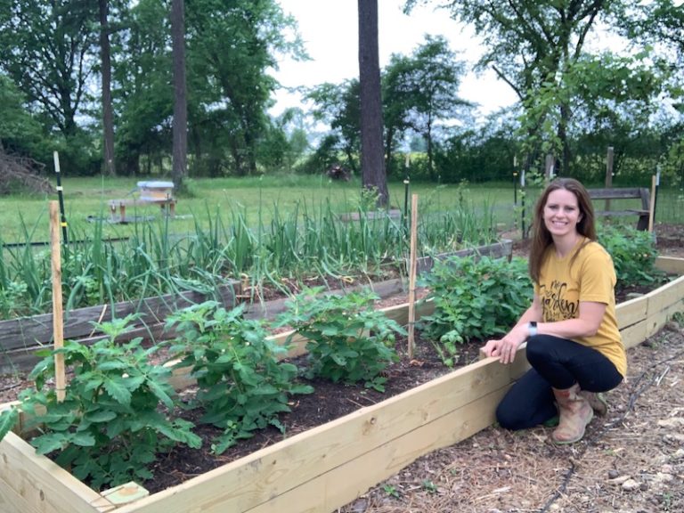 What do I Put on the Bottom of Raised Beds? | The Beginner's Garden