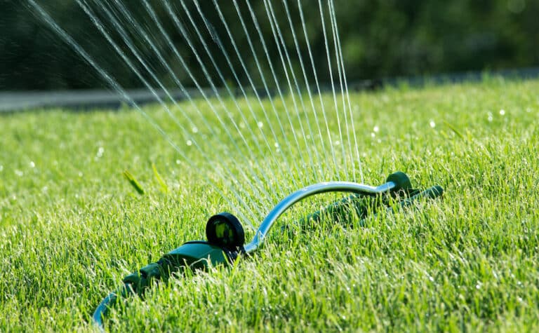 6 Raised Bed Irrigation Options for Home Gardens | The Beginner's Garden