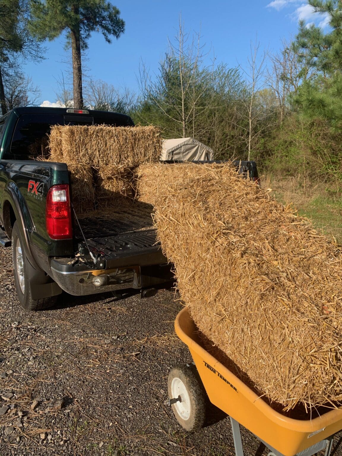 How to Grow Vertically in a Straw Bale Garden | The Beginner's Garden