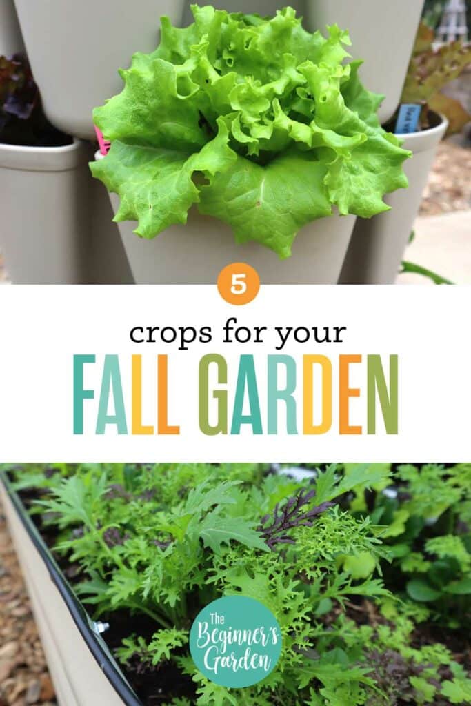 5 Cold-Tolerant Crops For the Fall Garden & Best Varieties | The ...