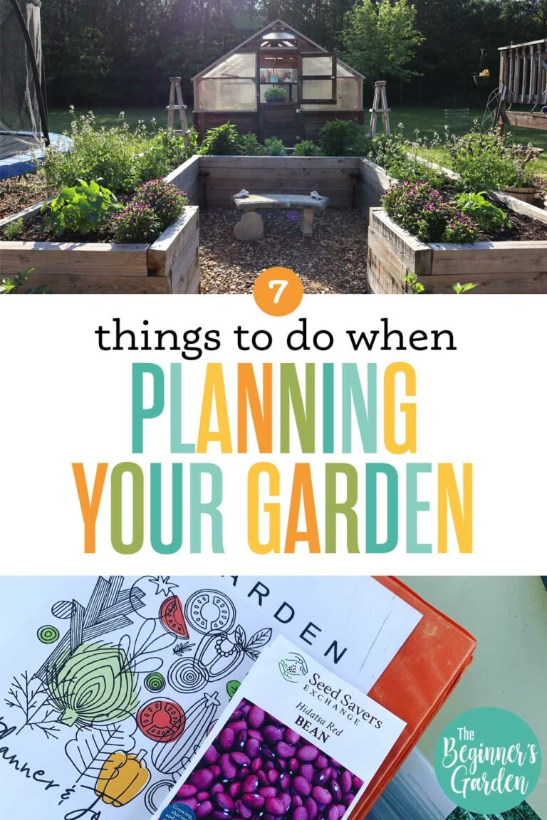 7 Things You Must Do Before You Start Planning Your Garden | The Beginner's Garden