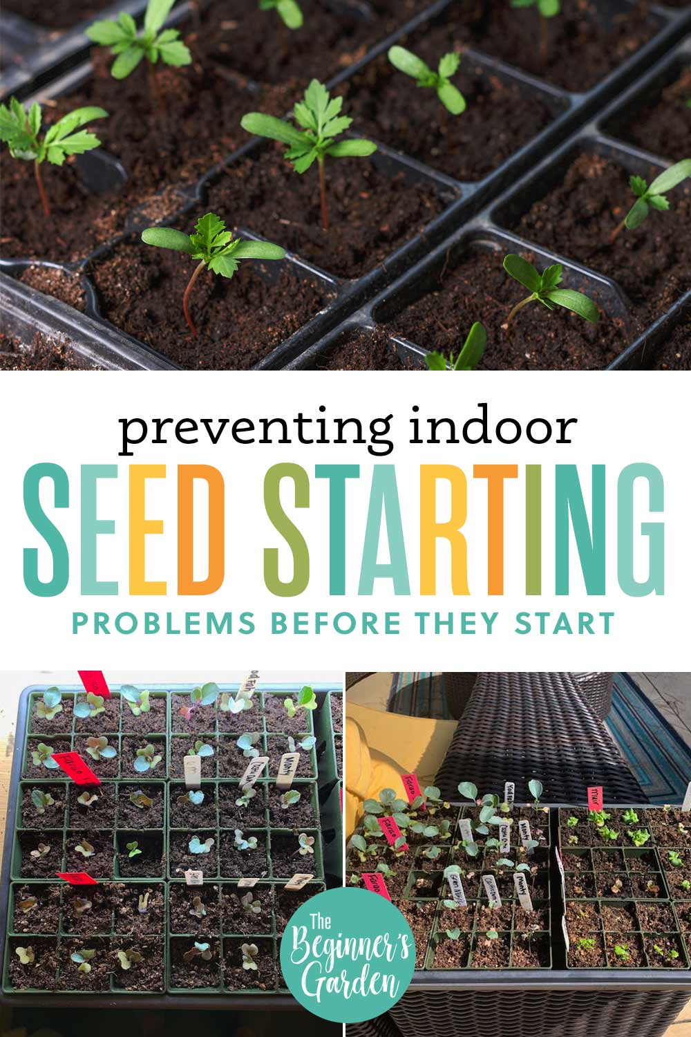 Prevent Indoor Seed Starting Problems Before They Start | The Beginner ...