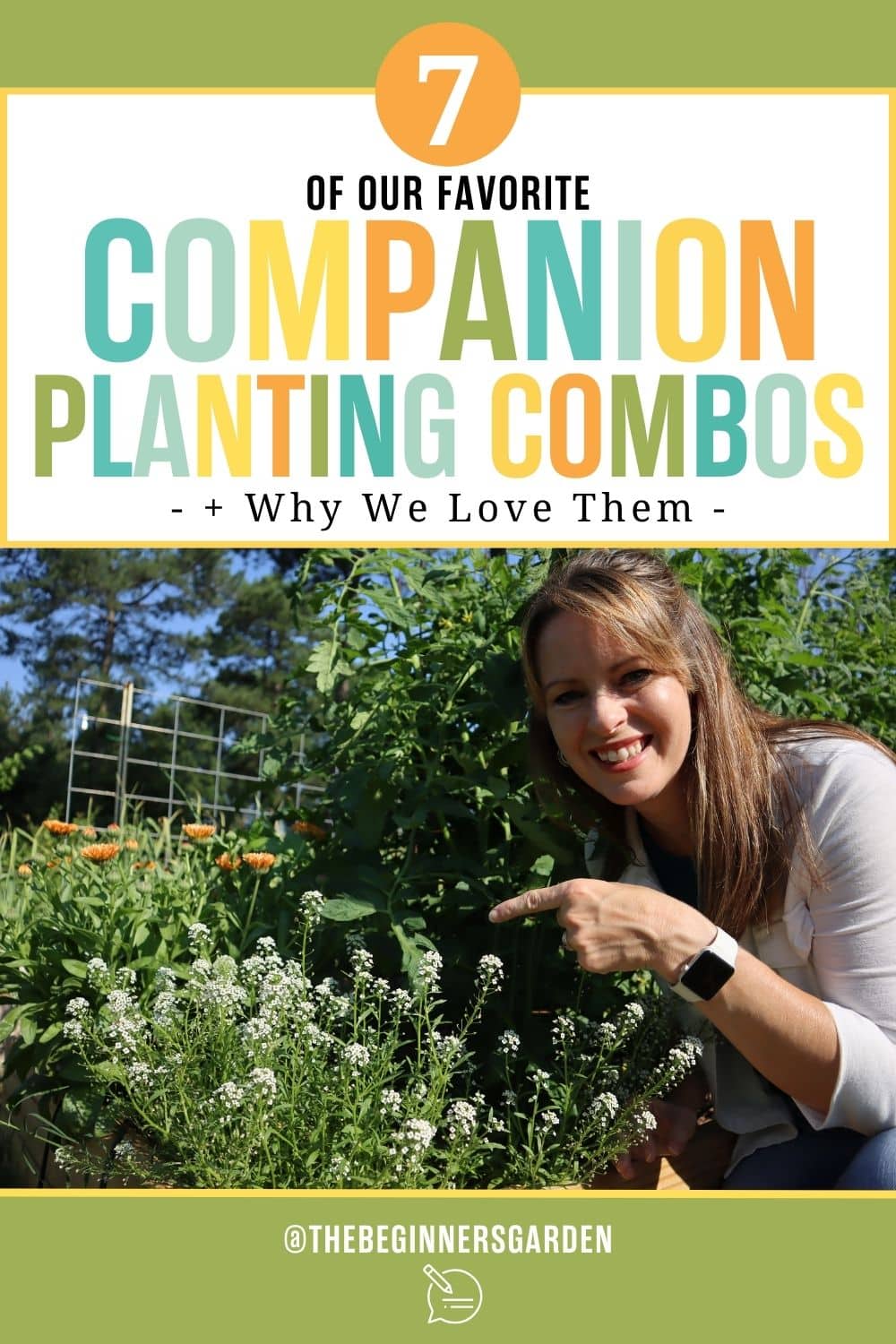 7 Favorite Companion Planting Combinations + Why We Love Them | The ...