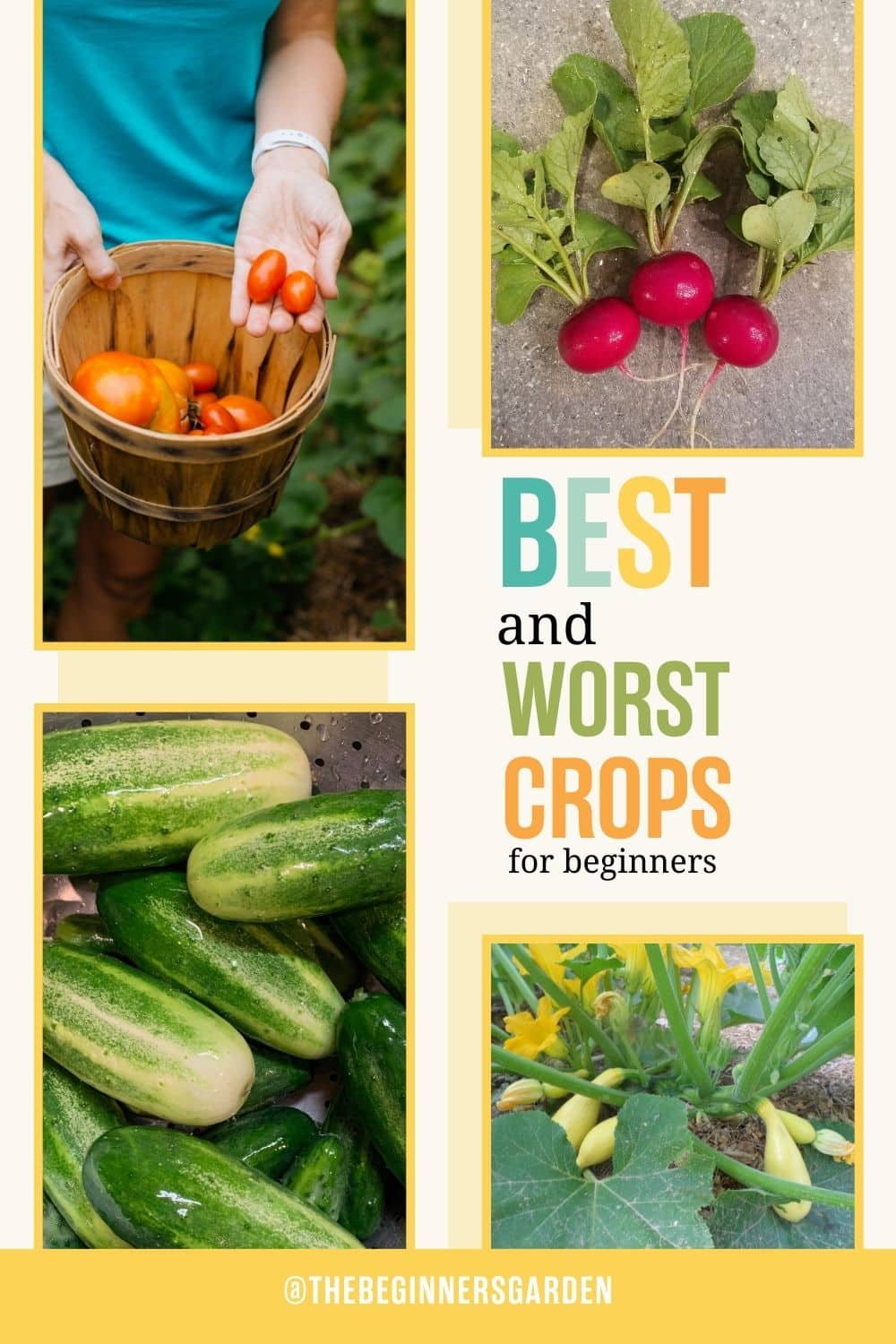 Best and Worst Crops For Beginners | The Beginner's Garden