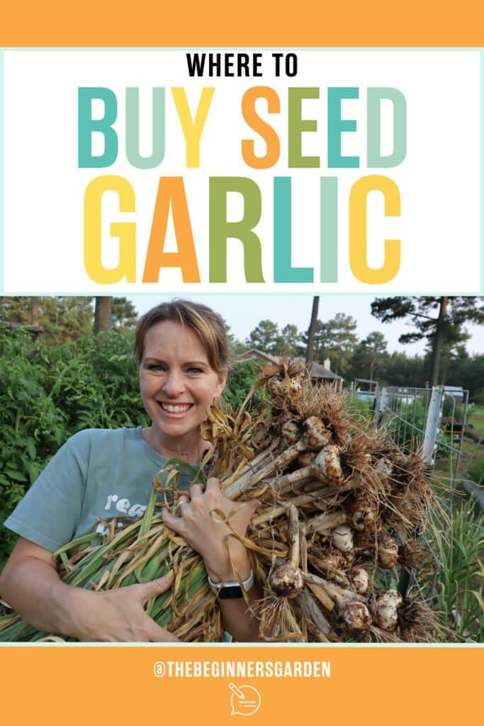 Where to Buy (and not to buy) Seed Garlic for Planting - The Beginner's ...