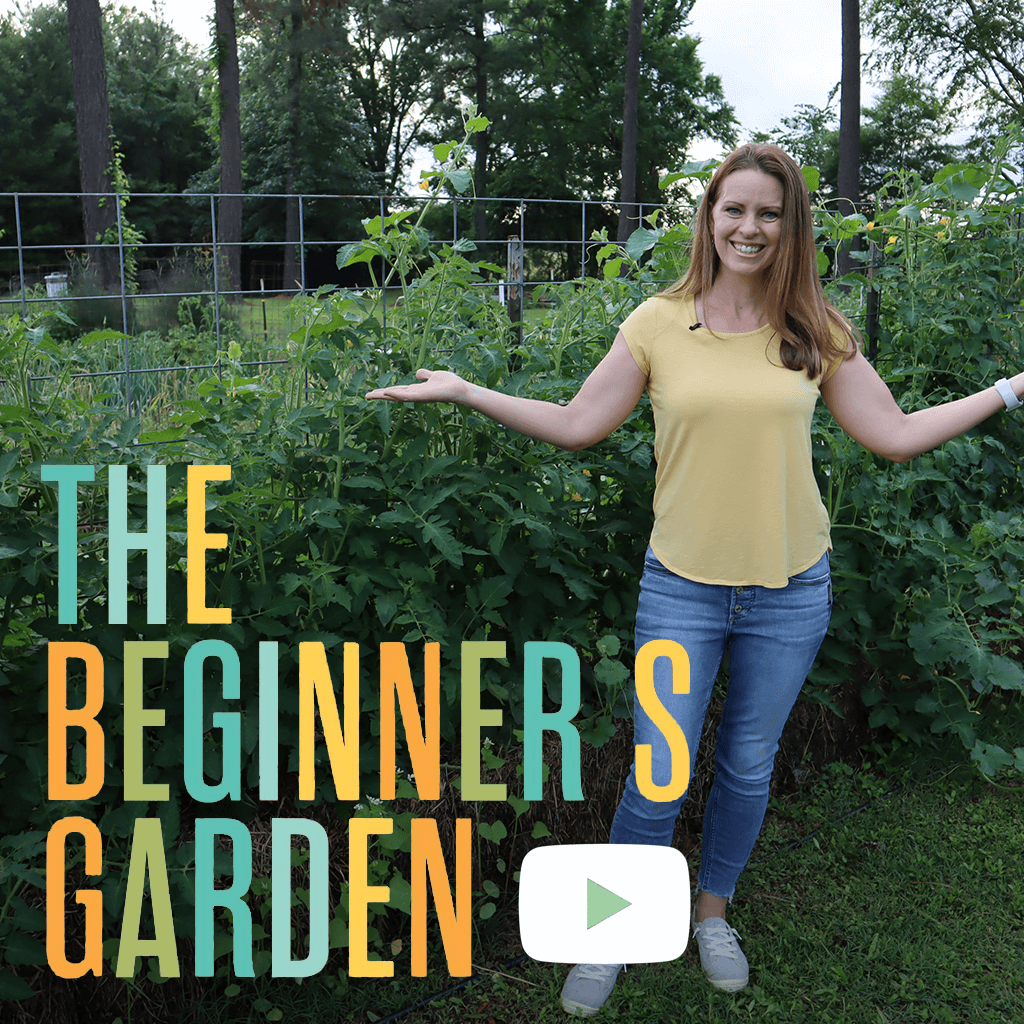 Meet Jill | The Beginner's Garden